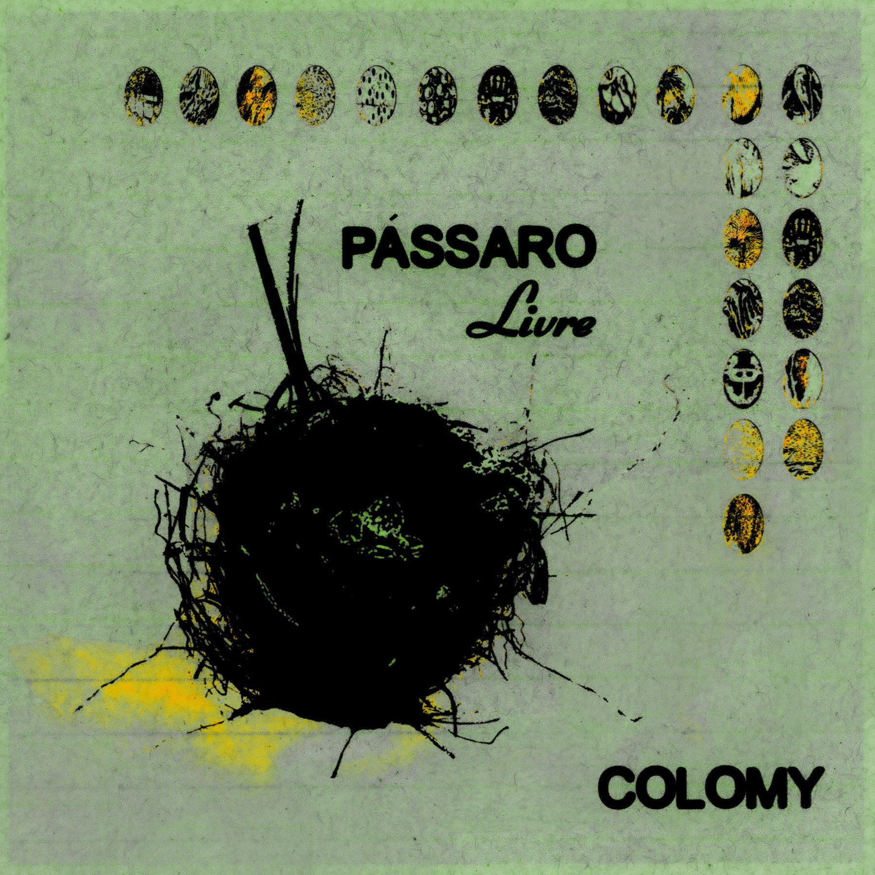Colomy lança o single “Pássaro Livre” | Boomerang Music