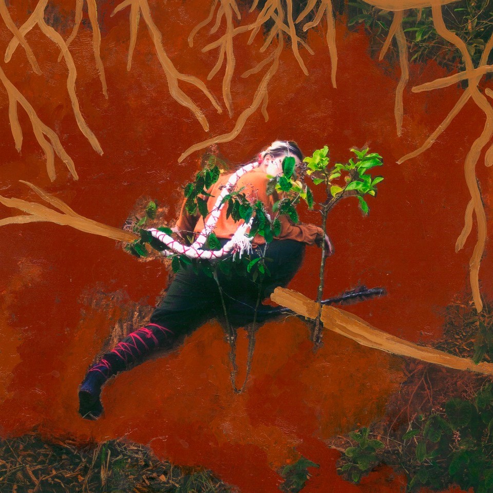 Boomerang Music | ANNA VIS lança COMO UM BICHO VÊ